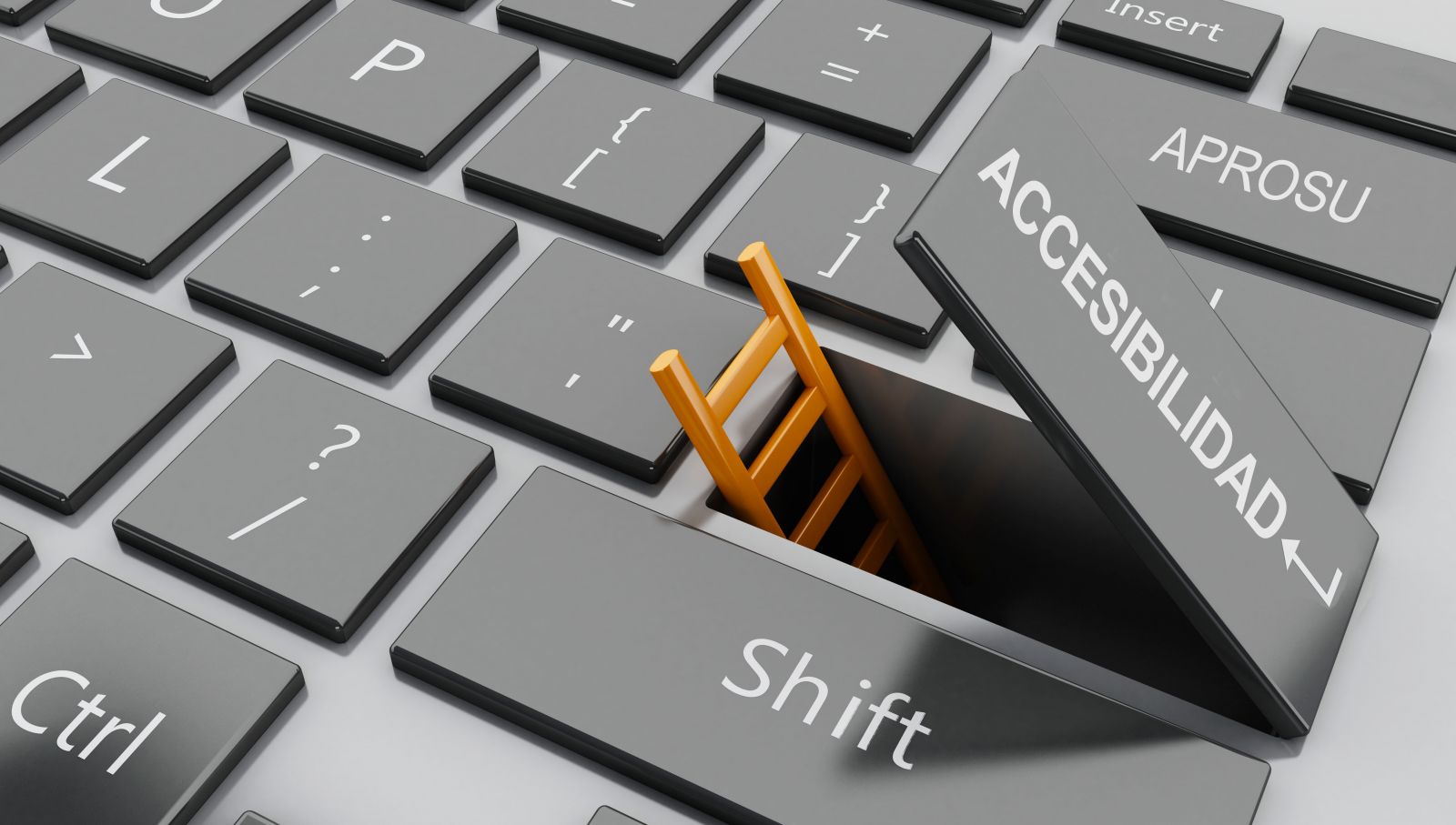 Declaración de accesibilidad - Alpema